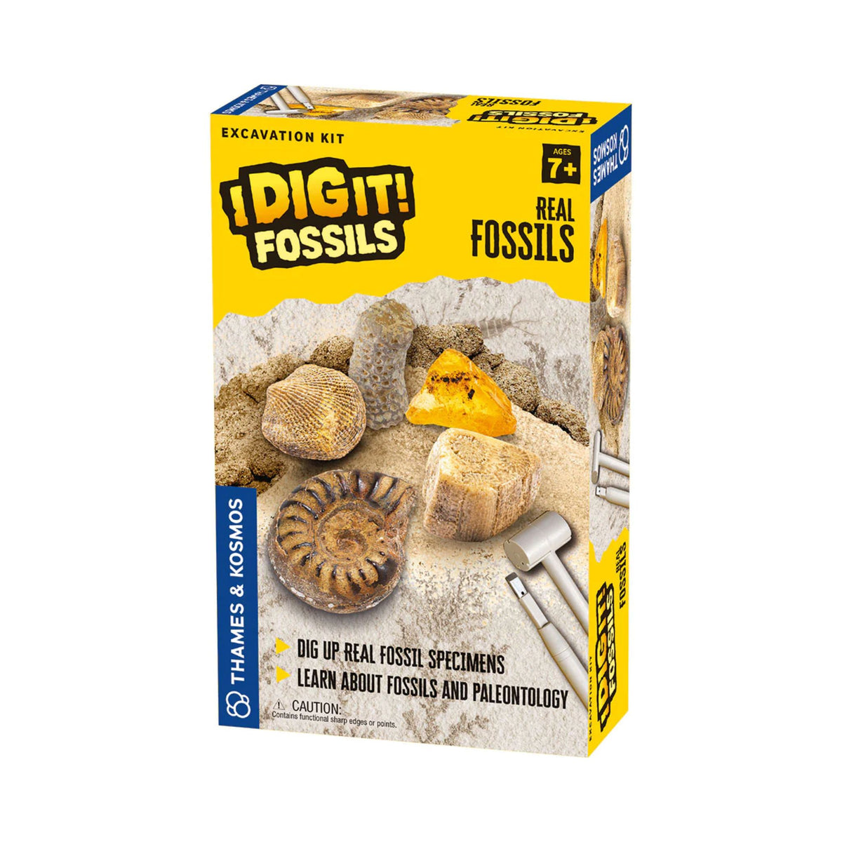 I Dig It! Fossils - Real Fossils Excavation Kit – Scooter Girl Toys
