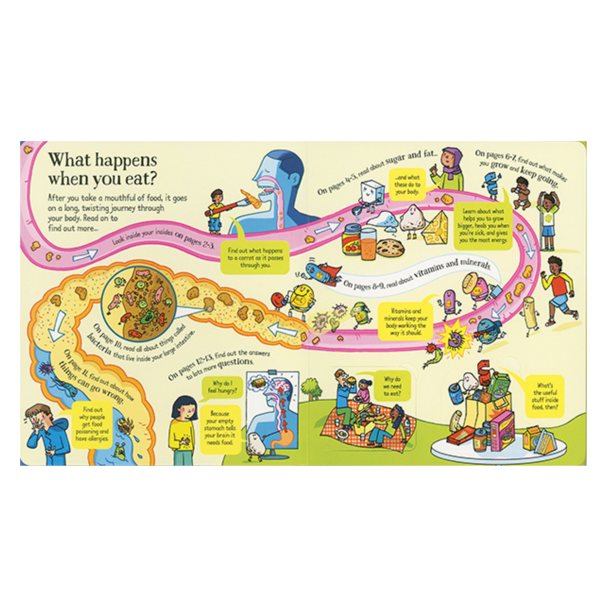 Usborne A Look Inside Hardcover Book - What Happens When You Eat ...
